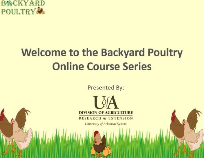 Free online course for creating backyard poultry farms - poultrytimes.com