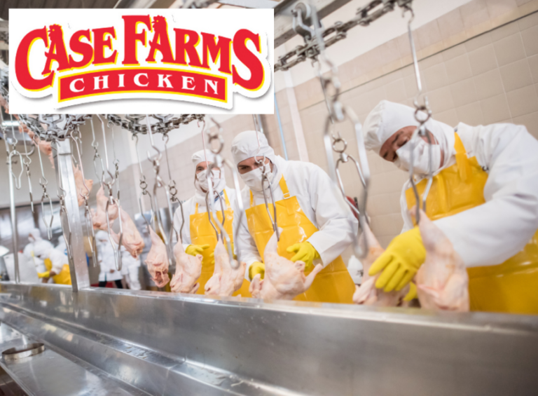 Case Farms Winesburg complex reaches 3M hours without a lost-time ...