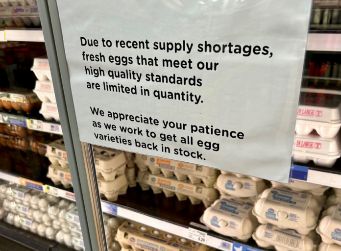 Egg prices in 2025 are forecast to increase 41.1 percent, USDA reports ...