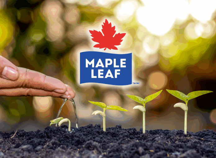 Maple Leaf Foods releases integrated report on sustainability ...