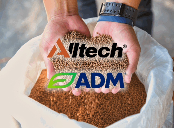 Adm Alltech To Launch North American Animal Feed Joint Venture