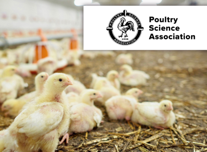 The Poultry Science Association names its new fellows for 2026 ...